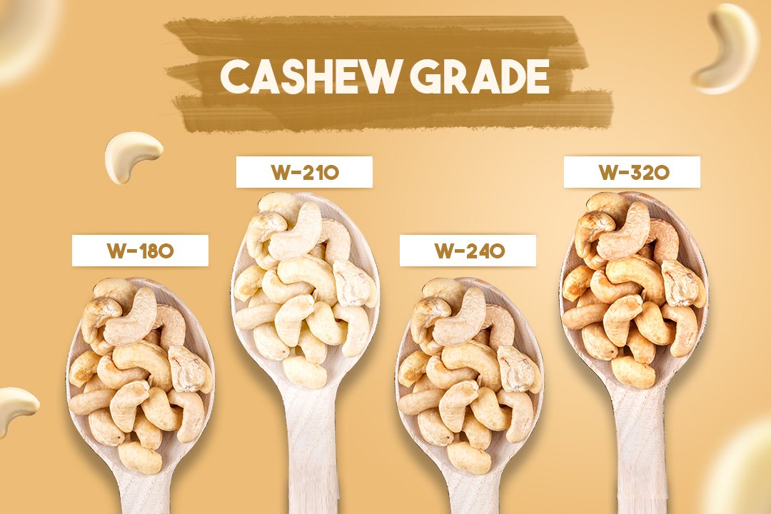 Cashew Grades Demystified: The Key to Quality and Pricing in Global ...